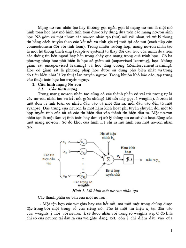 Bao Cao Mon Hoc Mang No Ron | PDF