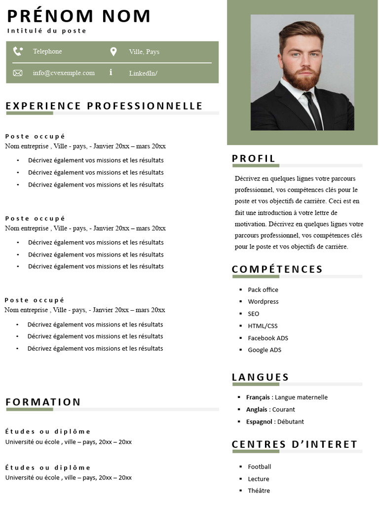 CV Professionnel Multilingue et Compétences | PDF | Services en ligne ...