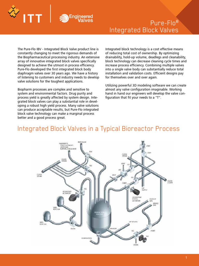 Block Valve-Dead Leg | PDF | Pipe (Fluid Conveyance) | Valve