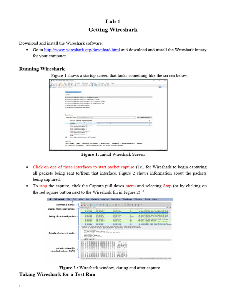 Networking Lab (HTTP DNS) | PDF | Domain Name System | Port (Computer Networking)