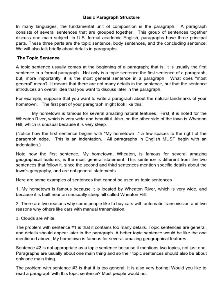 Basic Paragraph Structure | PDF | Paragraph | Hamburgers