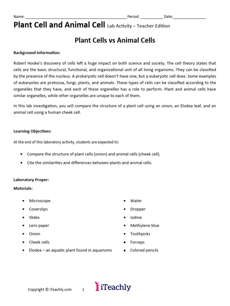 3 5 Lab Activity SE Plant Cell and Animal Cell | PDF | Cell (Biology ...