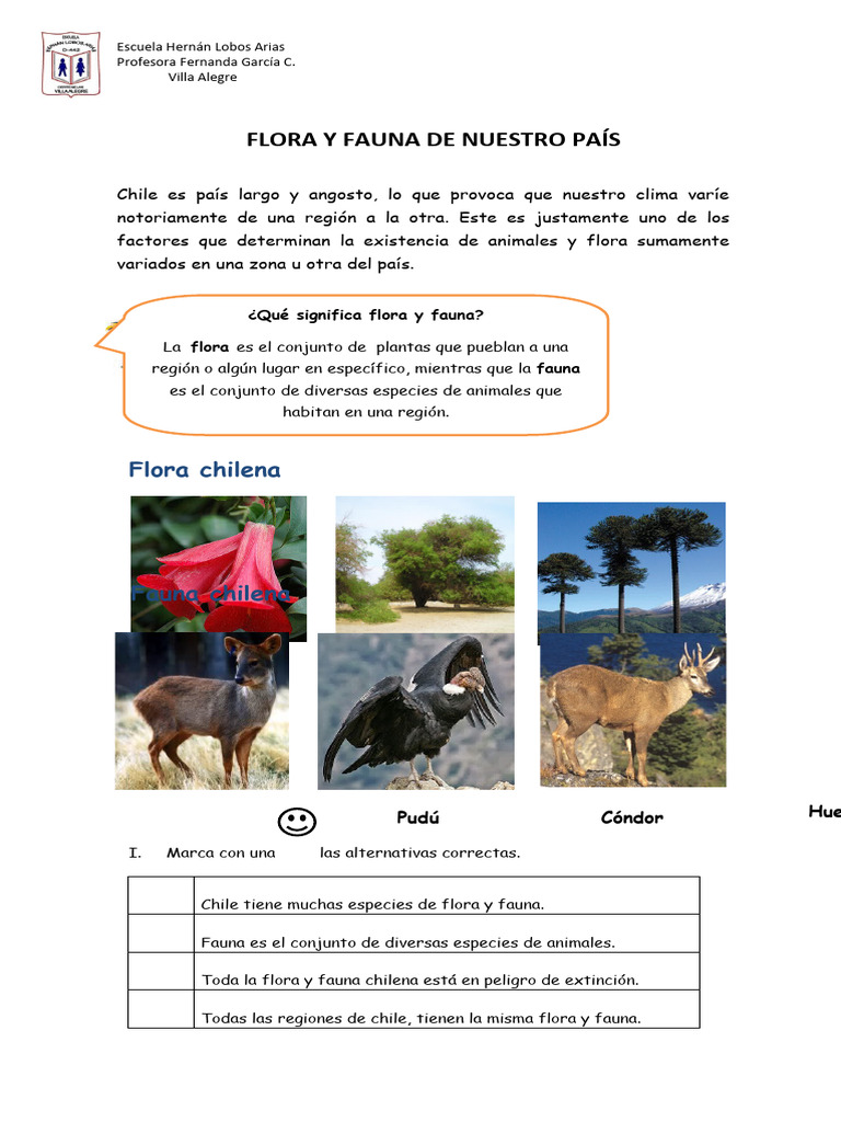 Flora-y-Fauna Chilena | PDF