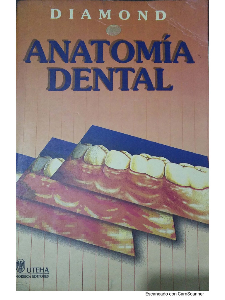 Anatomia Dental - Diamond | PDF