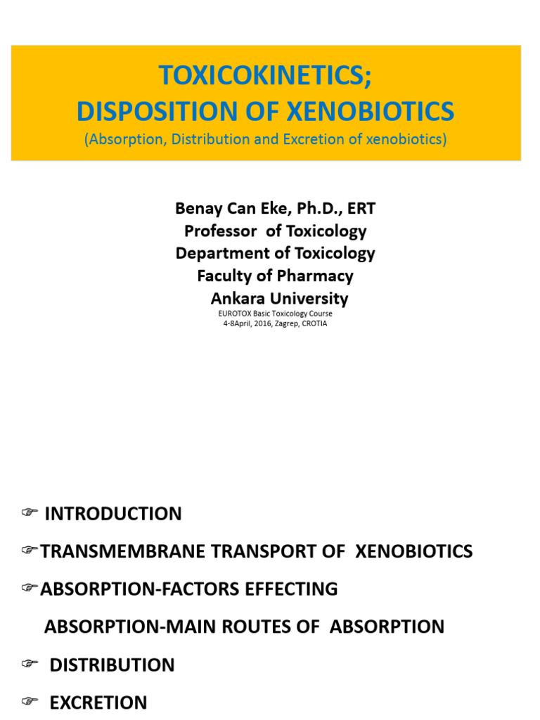 Lecture Toxicokinetics Benay Can Eke | PDF | Cell Membrane | Acid ...