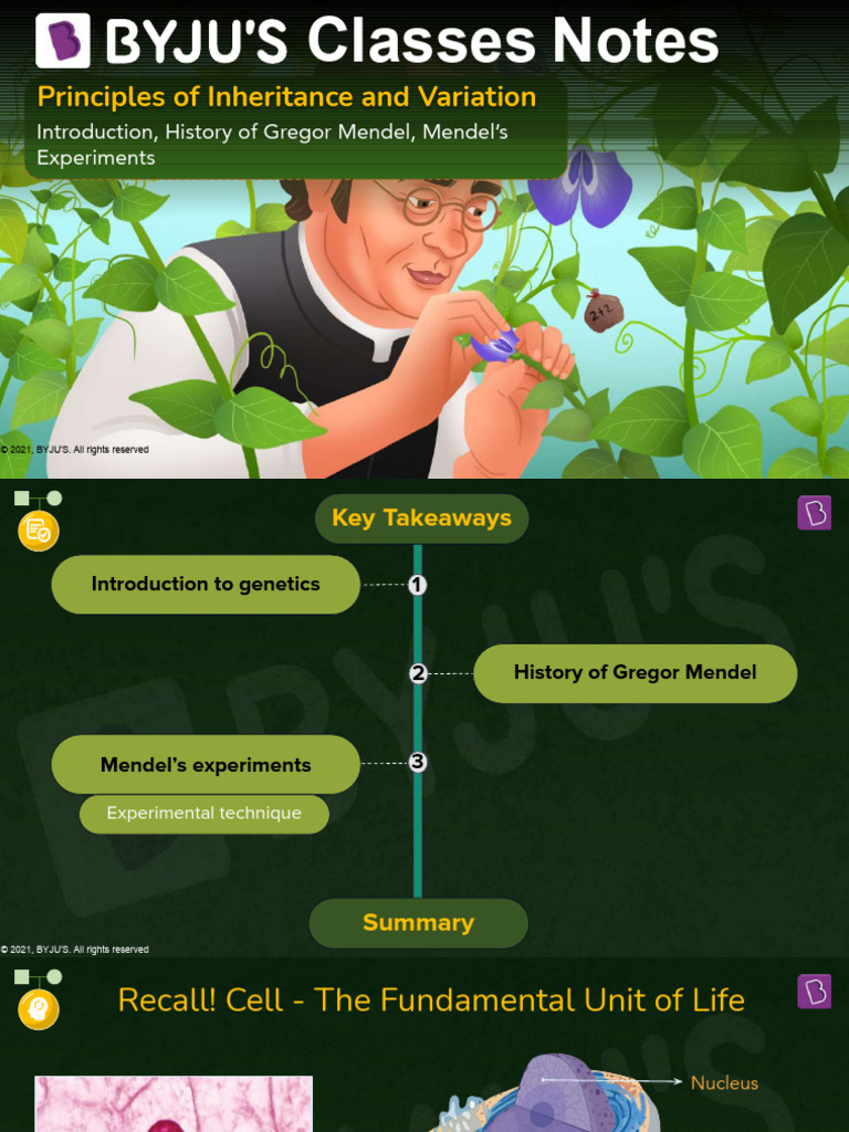CBSE Class 12 Principles of Inheritance Study Notes | PDF | Dominance ... CBSE Class 12 Principles of Inheritance Study Notes | PDF | Dominance ...
