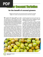 Coconut Varieties: Tall vs Dwarf | PDF | Coconut | Botany