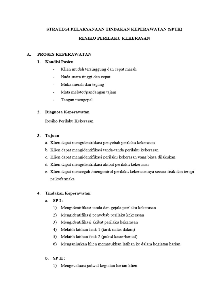 SPTK Perilaku Kekerasan | PDF