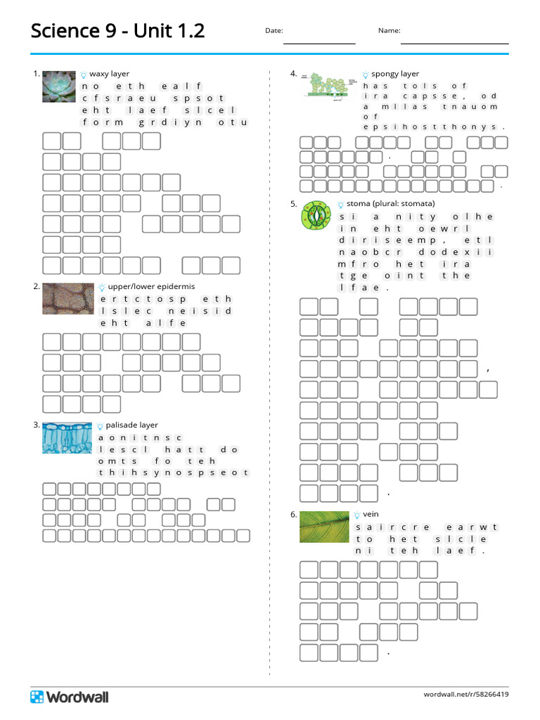 Science 9 Unit 12 Anagram | PDF | Aberturas (xadrez) | Xadrez