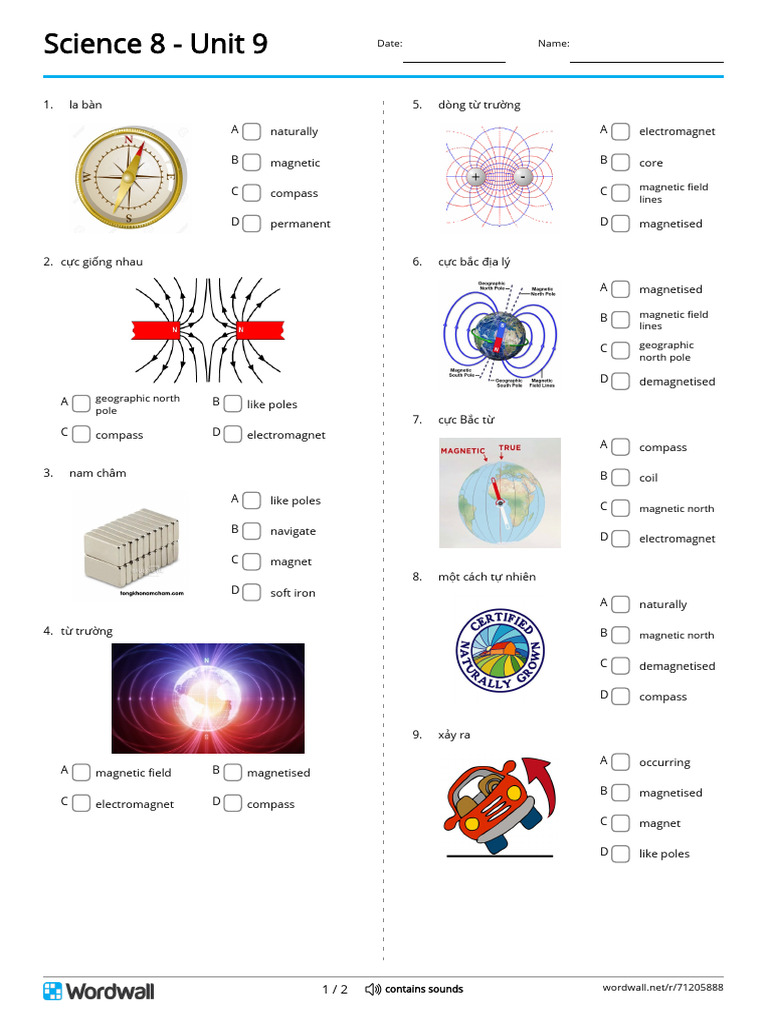 Science 8 Unit 9 Quiz | PDF | Compass | Magnetism