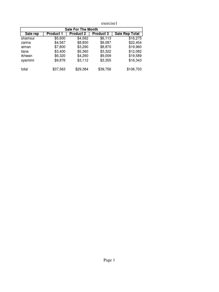Exercise Spreadsheet Ashikin | PDF