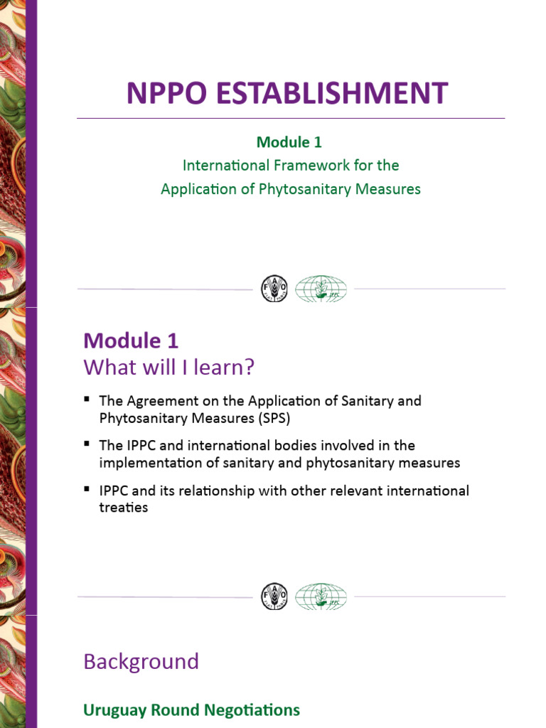 IPPC Etablishment Module 1 | PDF