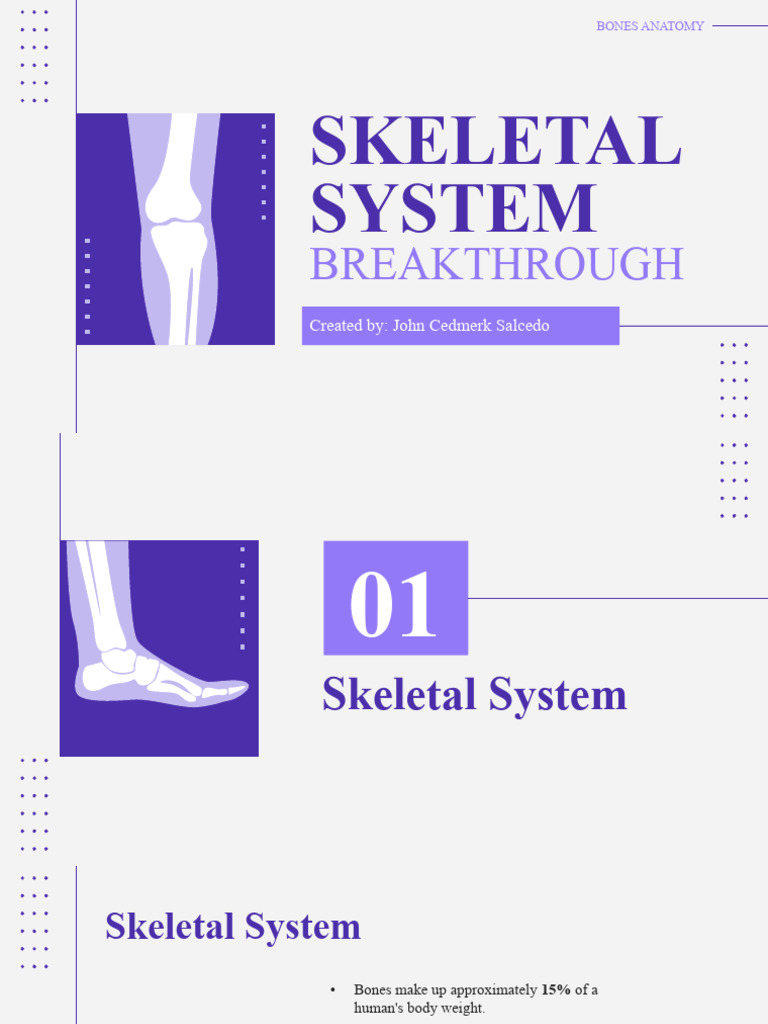 Anatomy of the Skeletal System | PDF | Skeleton | Planets
