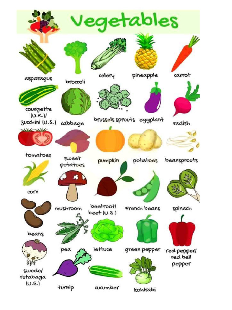 Vegetables | PDF