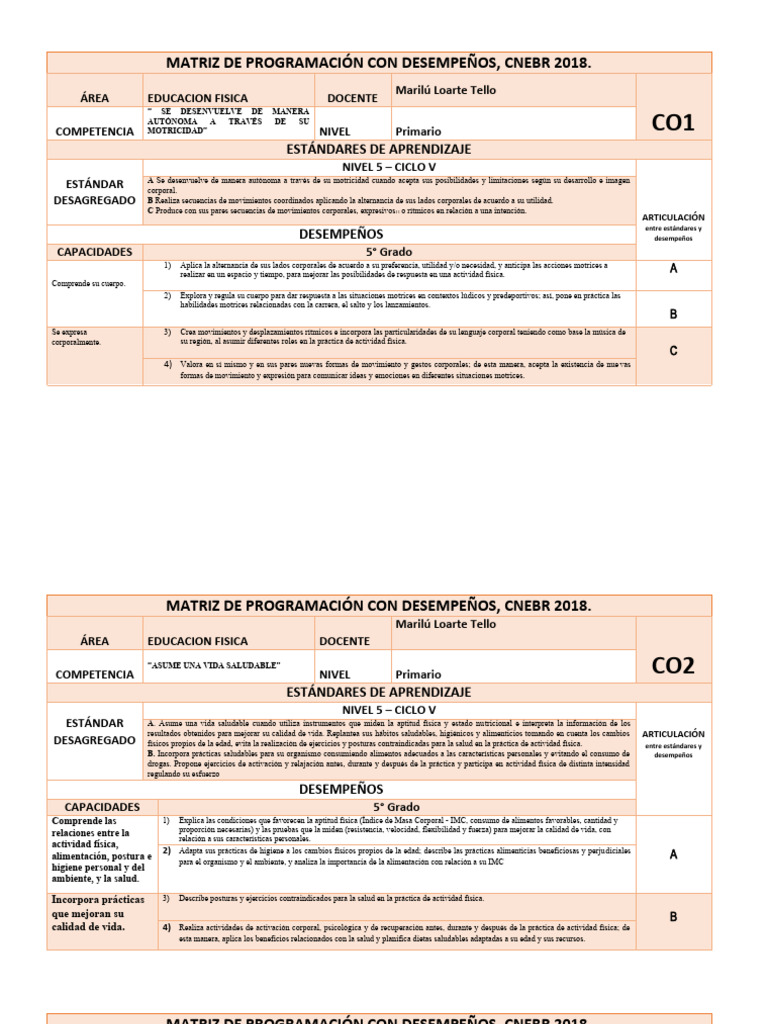 Matriz E. Fisica | PDF | Aprendizaje