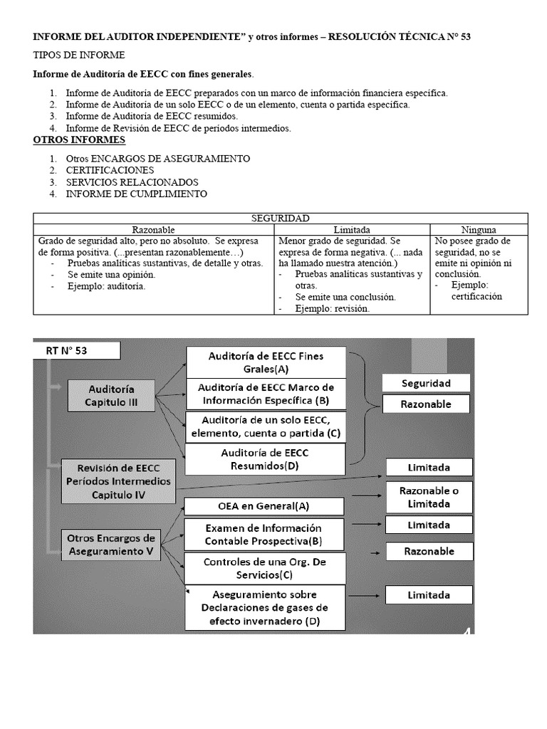 INFORME DEL AUDITOR INDEPENDIENTE - Auditoría | PDF | Auditoría | Contabilidad