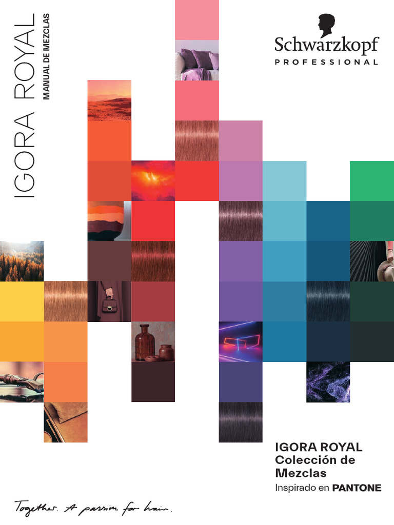 ES IGORA 0921 Pantone MixingBrochure 019403 X | PDF | Color | Amarillo