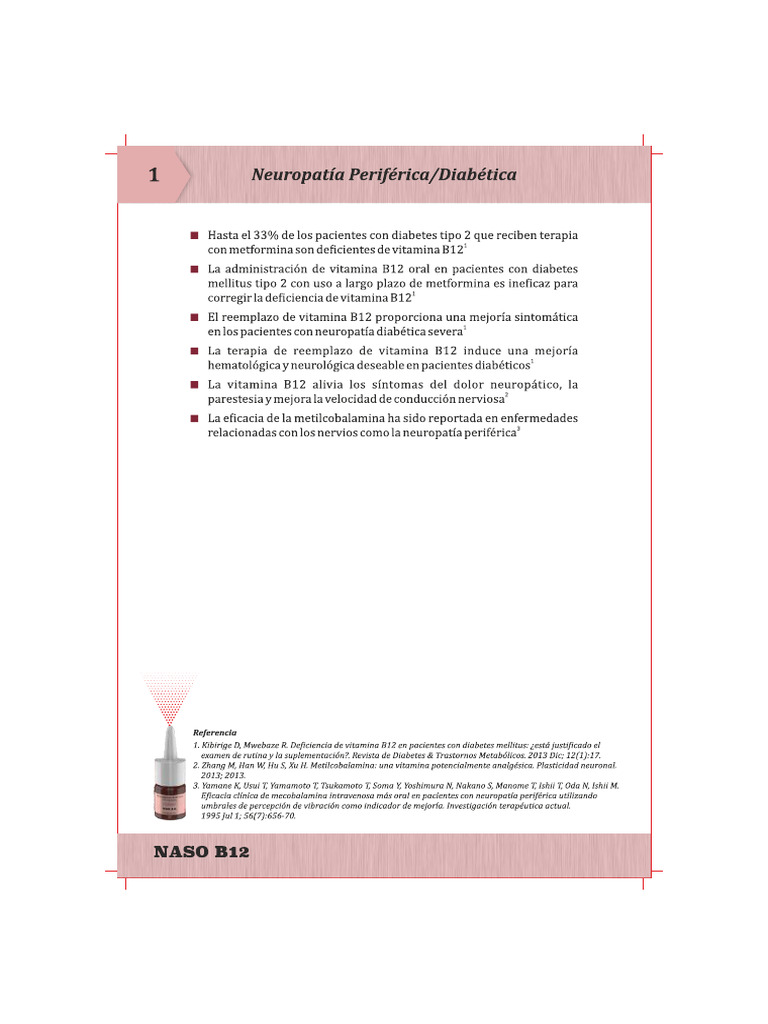 C-NASO B12 Estudios | PDF