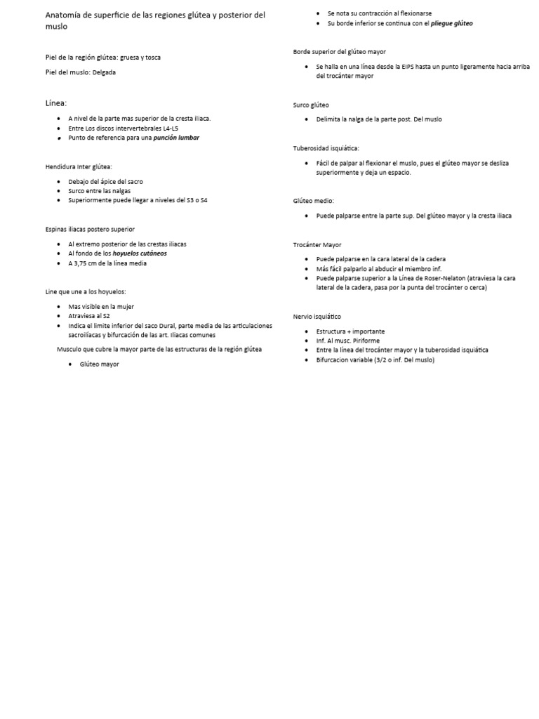 Anatomía de Superficie de Las Regiones Glútea y Posterior Del Muslo ...