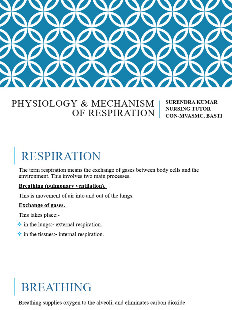 Physiology Respiratory | PDF | Respiratory System | Breathing