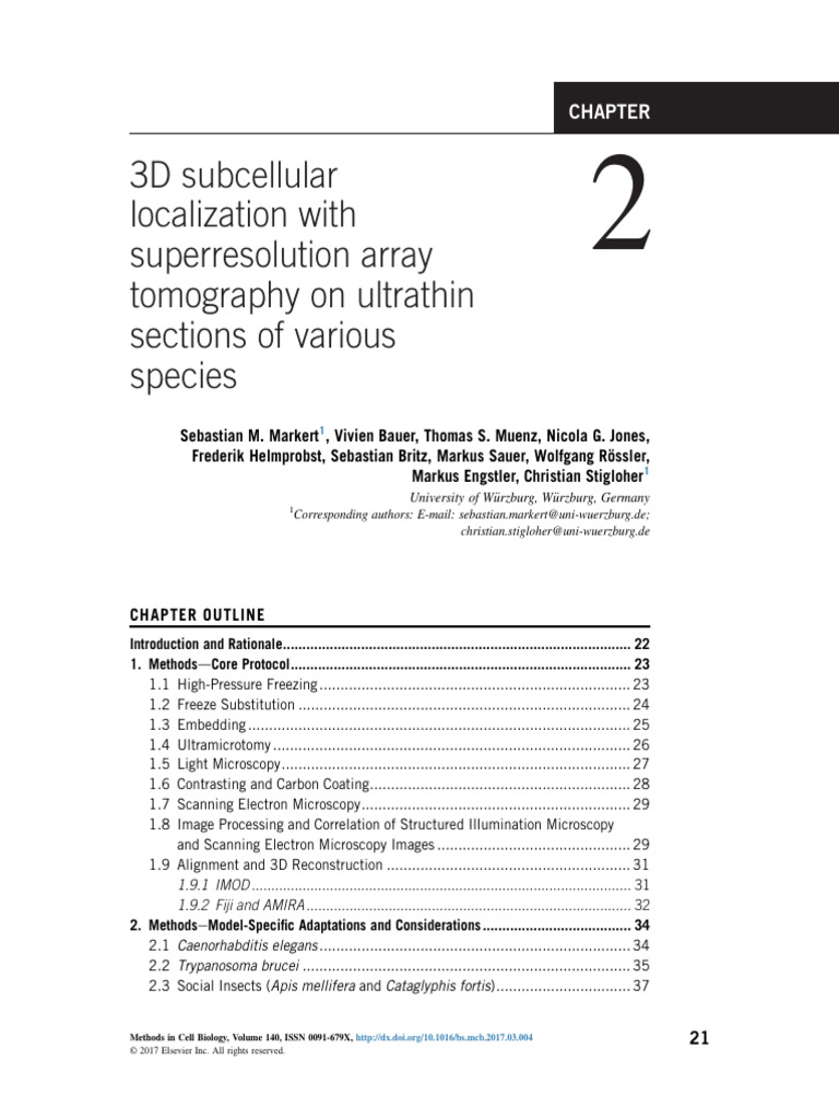 Superresolution 3D Subcellular Localization | PDF | Scanning Electron Microscope | Microscopy