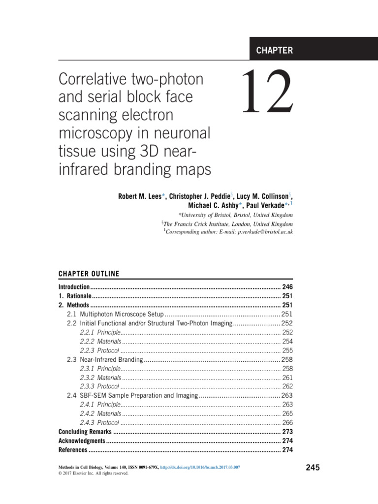 Chapter 12 - Correlative Two Photon and Serial Block Face Sca - 2017 ...