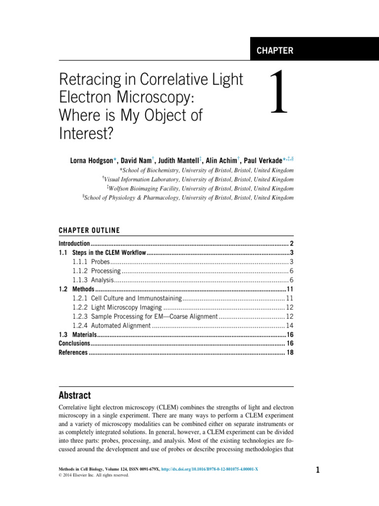 CLEM Workflow and Analysis Guide | PDF | Microscopy | Electron Microscope