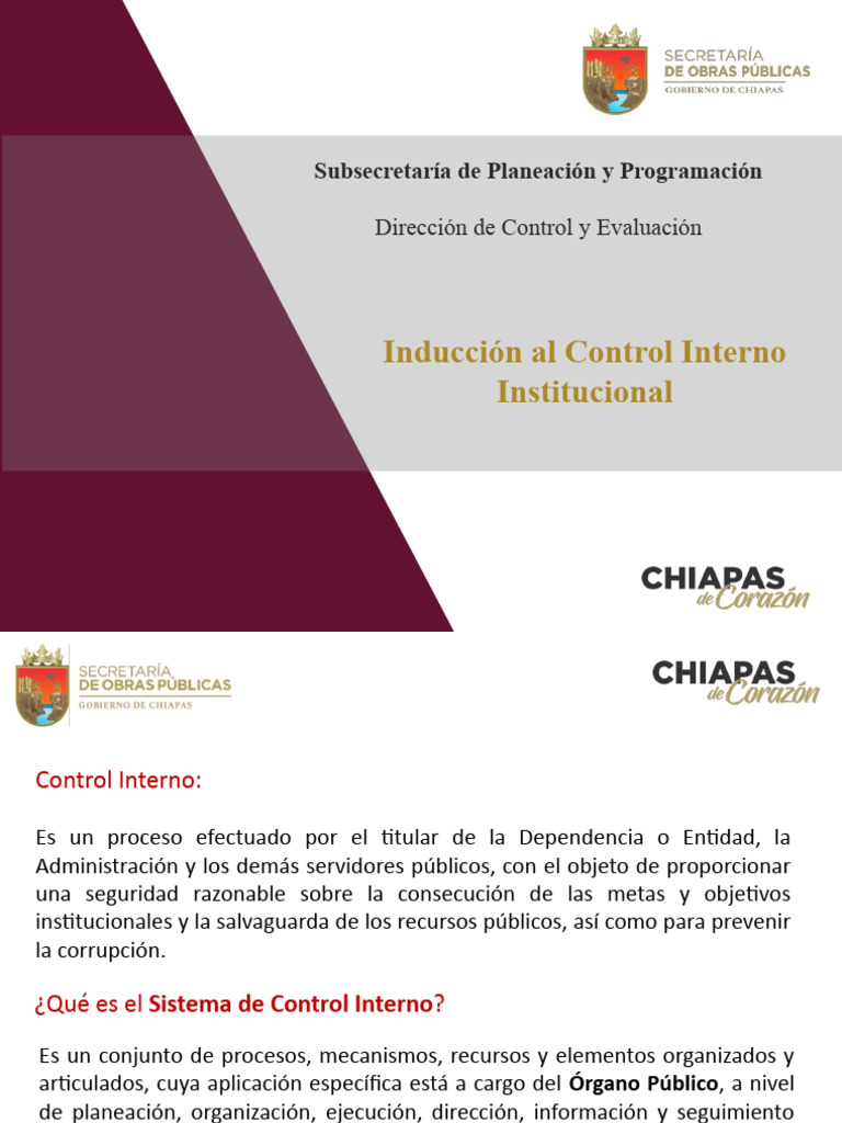 Induccion Control Intern 27-09-2021 | PDF | Riesgo | Planificación