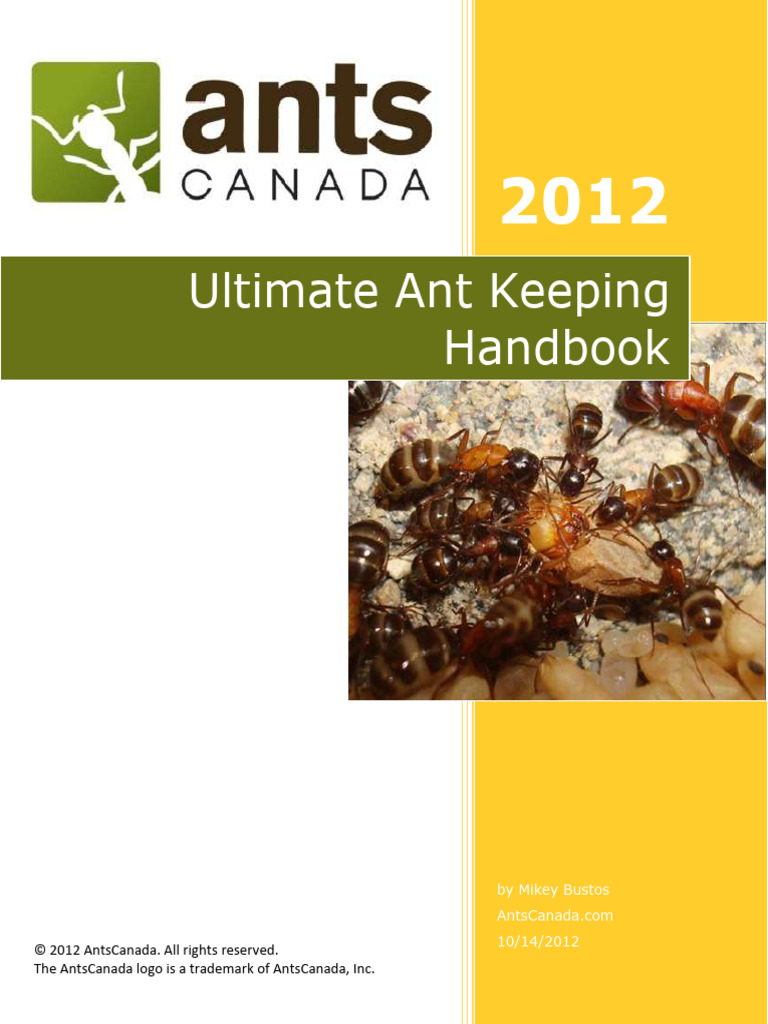 Antscanada Ultimate Ant Keeping Handbook1 PR | PDF | Ant | Pupa