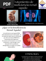Fisiopatologia de La Insuficiencia Renal Aguda y Cronica | PDF | Riñón | Hipertensión