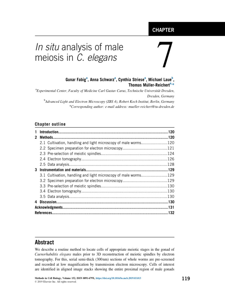 Chapter 7 - in Situ Analysis of Male Meiosis in C - 2019 - Methods in ...