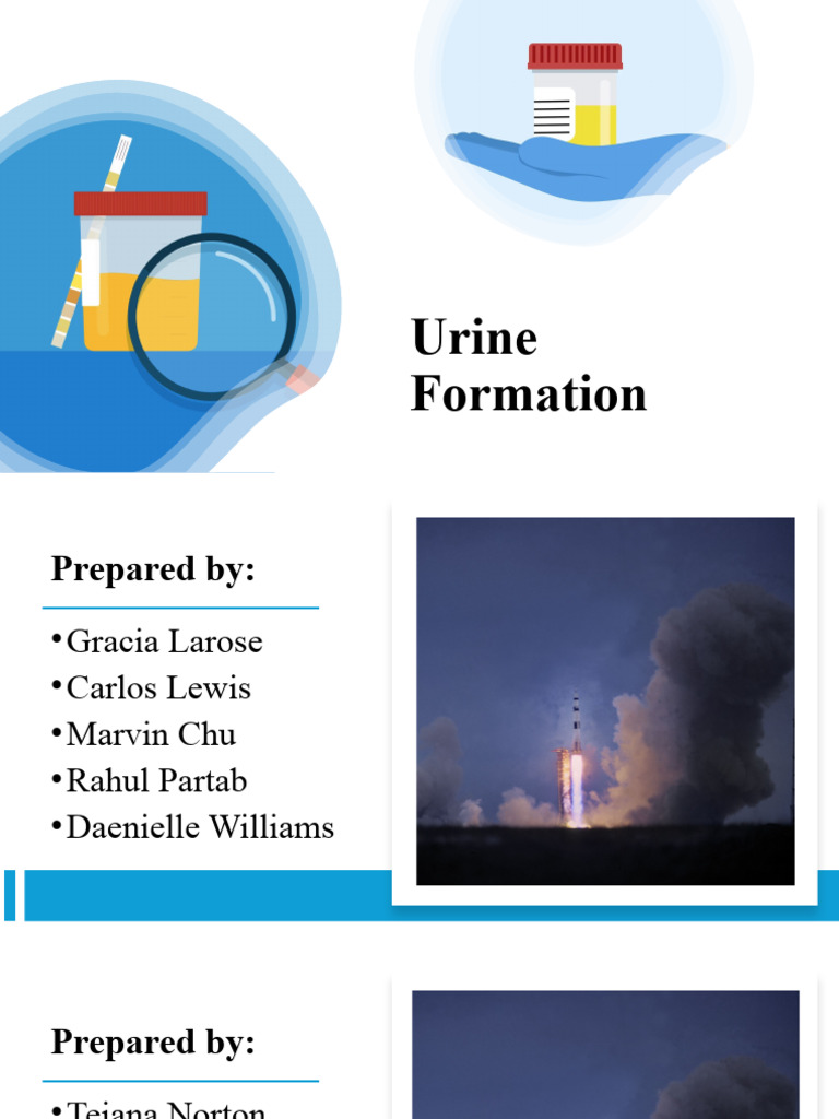 Urine Formation Original | PDF | Self-Improvement