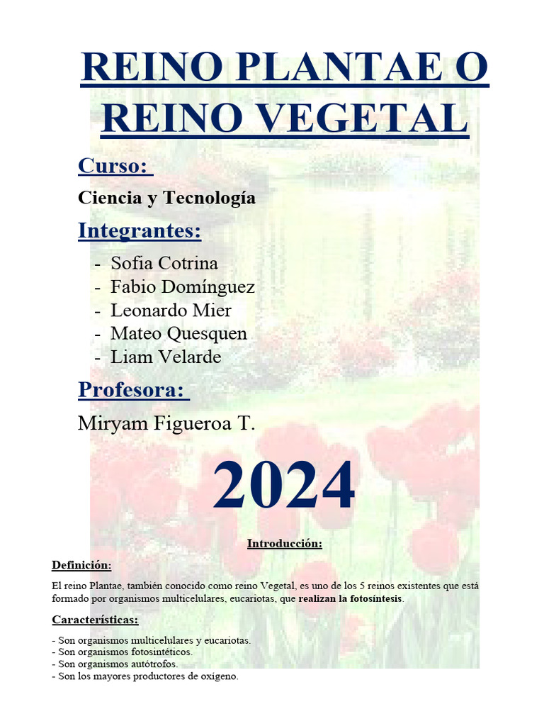 Reino Plantae o Reino Vegetal | PDF | Plantas | Fotosíntesis