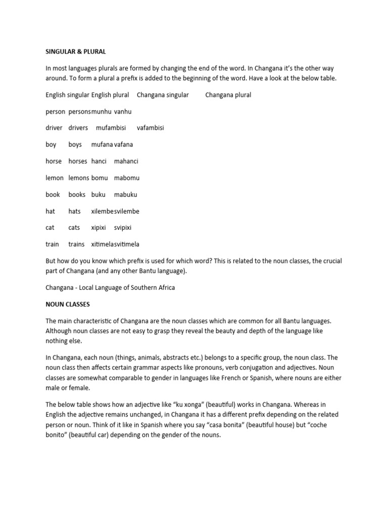 Singular & Plural in Xichangana | PDF | Grammatical Gender | Grammatical Number