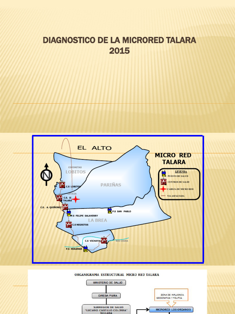 Diagnostico Microred Talara | PDF | Programas sociales | Especialidades Medicas