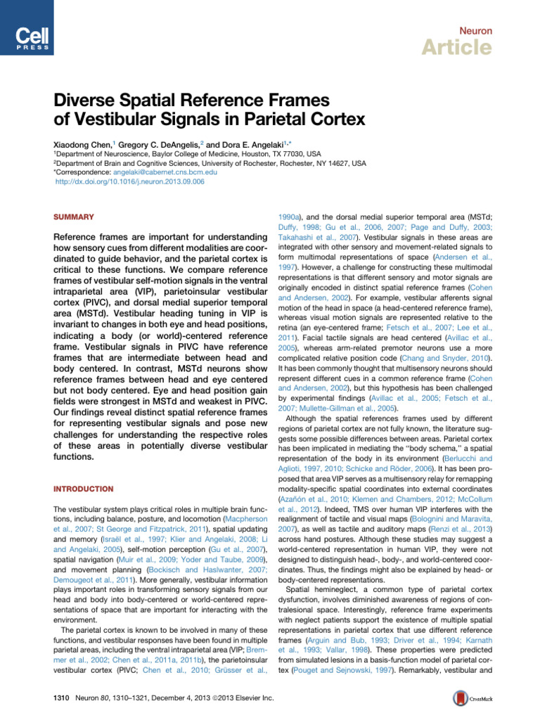 Parietal Cortex (5 Articles) | PDF | Vestibular System | Parietal Lobe