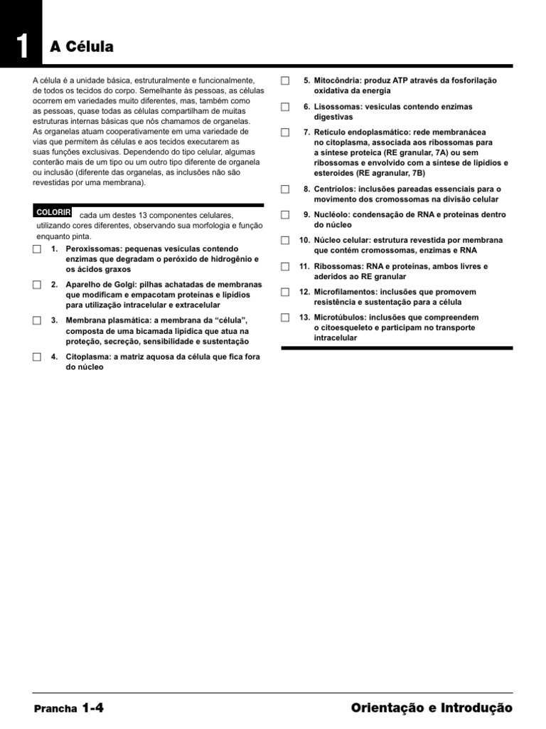 Aula 1 - biologia celular | PDF | Epitélio | Organelo