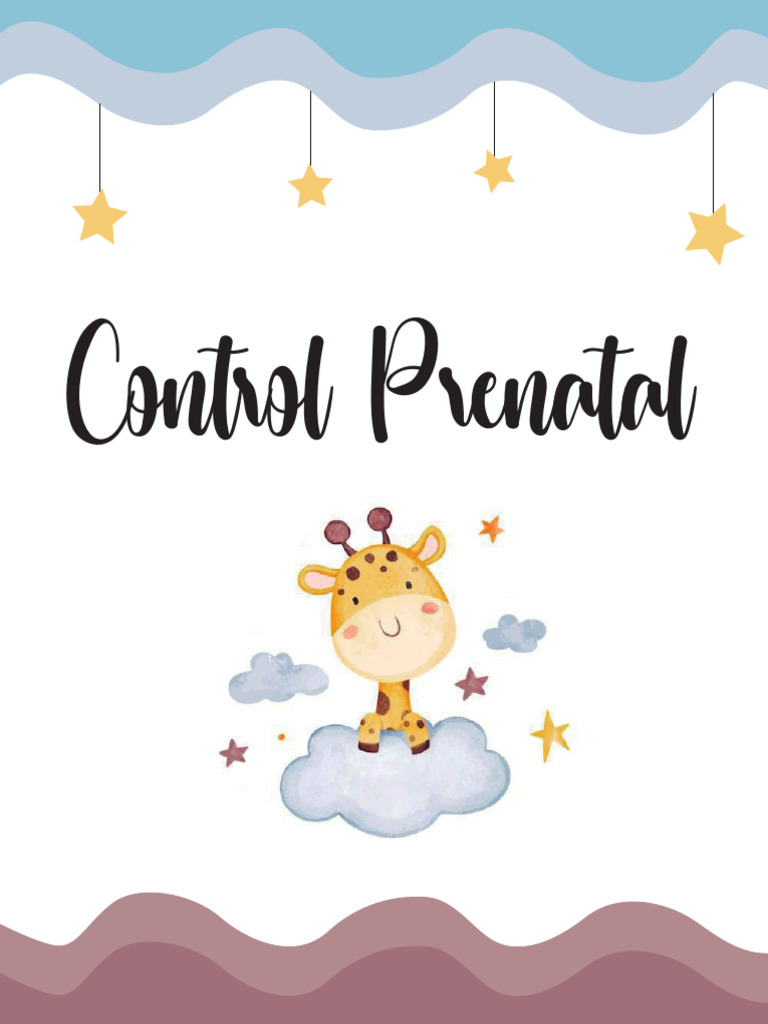 Portadas de Embarazo 1 | PDF