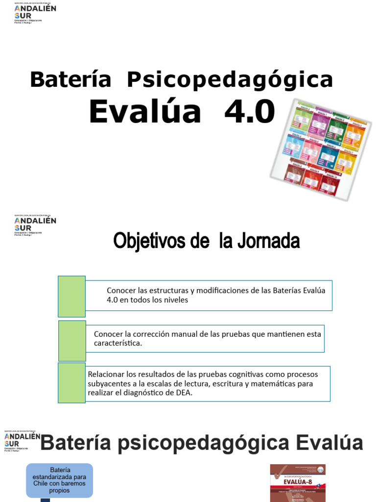 Batería Psicopedagógica Evalúa 4.0 | PDF | Aprendizaje | Comprensión lectora