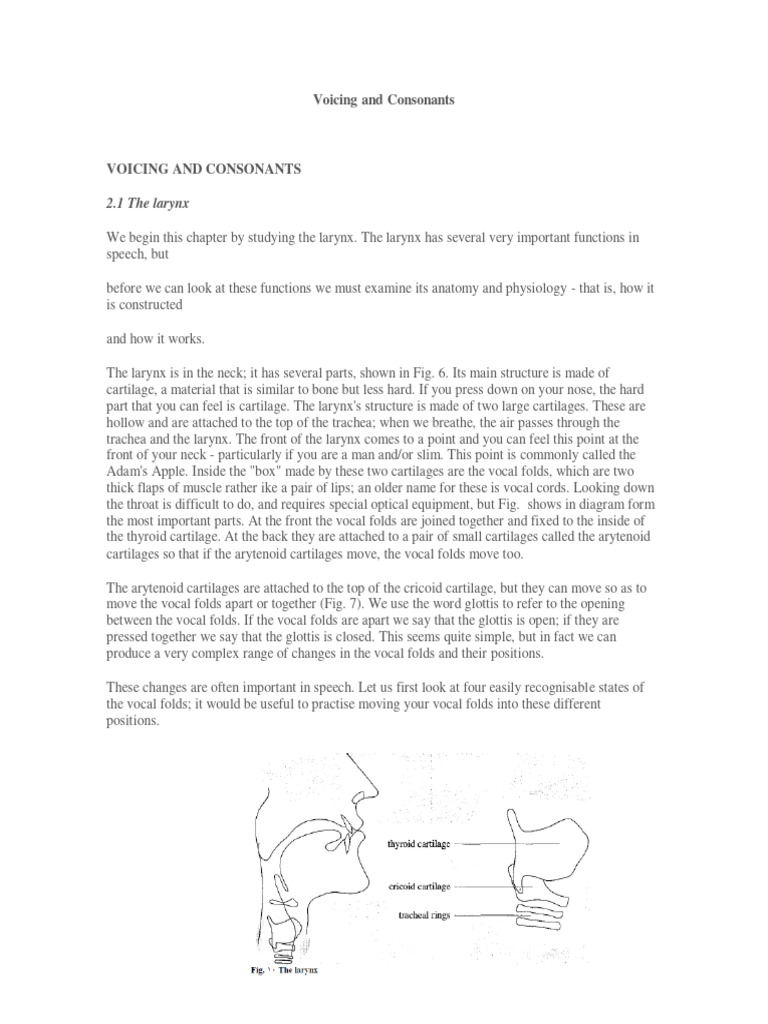 Voicing and Consonants Homework | PDF | Larynx | Human Throat