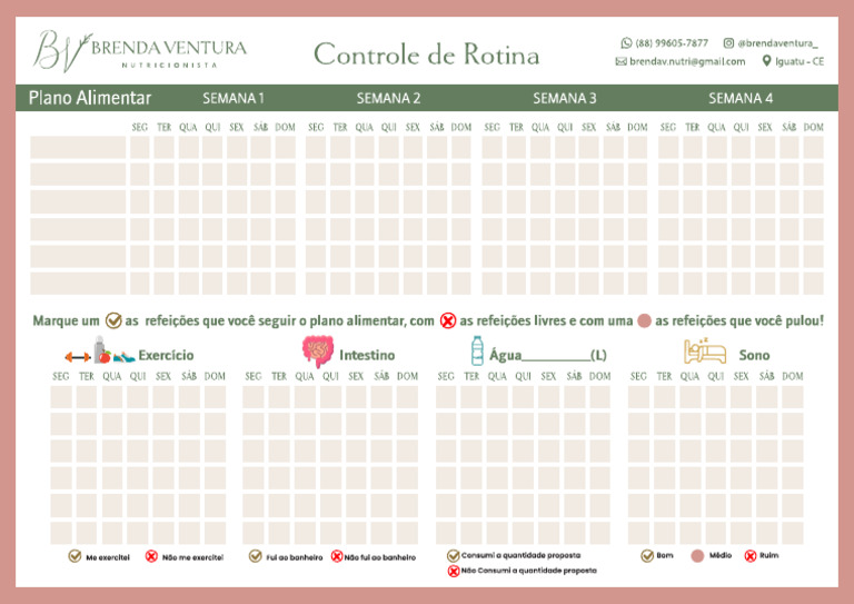 Controle de Rotina | PDF
