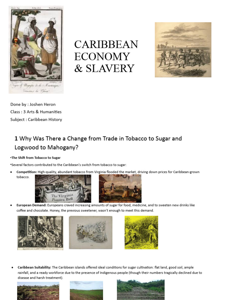 Caribbean Economy and Slavery Overview | PDF | Slavery | Atlantic Slave ...
