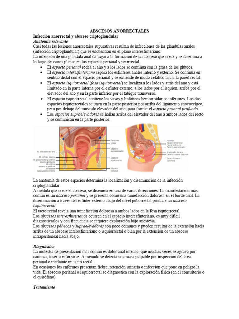 Tema 4 - Abscesos Anorrectales | PDF | Causas de la muerte | Medicina