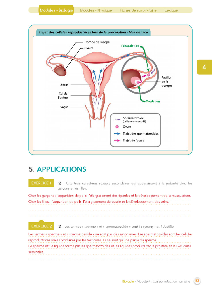 Expert 2 Reproduction | PDF
