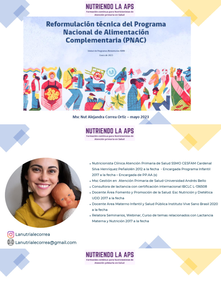 Actualización del PNAC y PACAM en Chile | PDF | Amamantamiento | Dietético