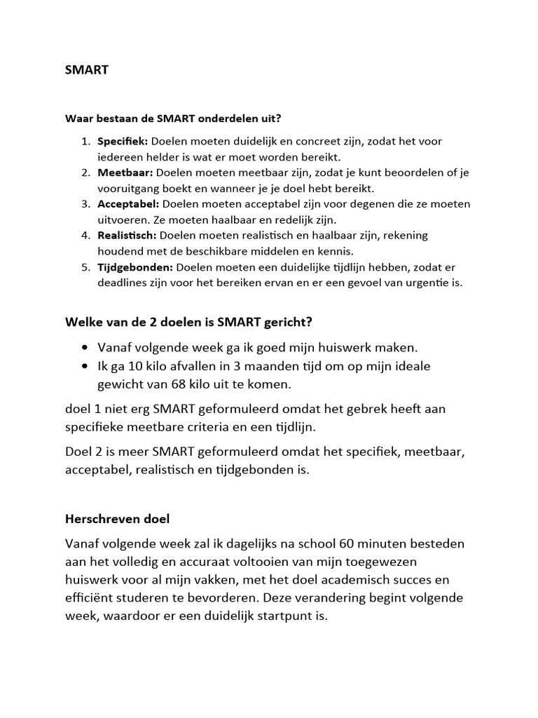 SMART verslag | PDF