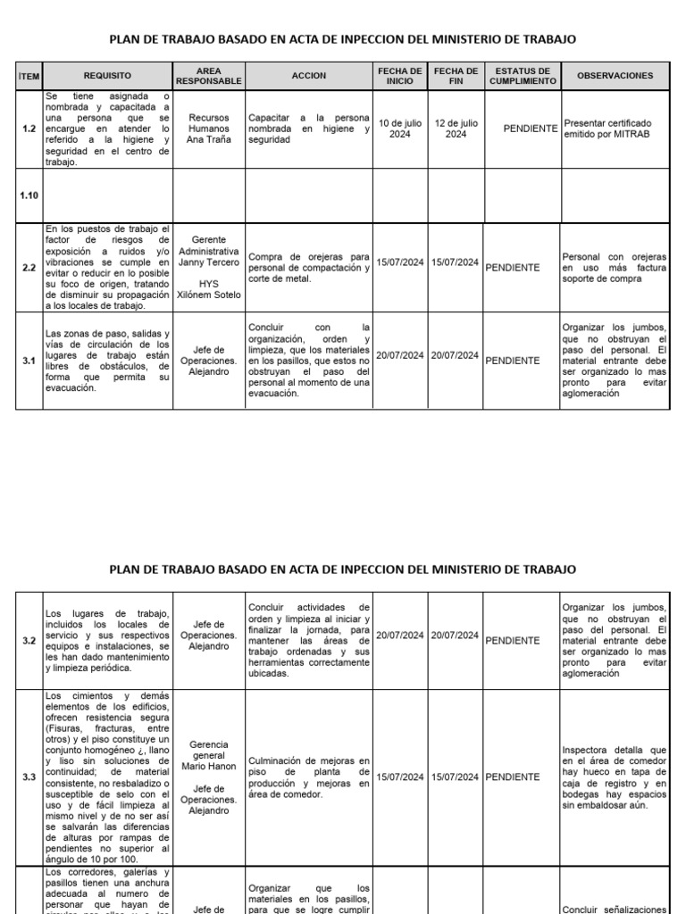 Plande Trabajo de Acta de Inspeccion Del Mitrab | PDF