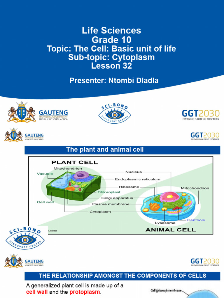 Life Sciences Gr.10 Lesson 32 the Cell (Cytoplasm) | PDF | Cytoplasm ...