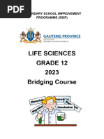 Worksheet 6 Numeric and Geometric Patterns Grade 9 Maths | PDF ...