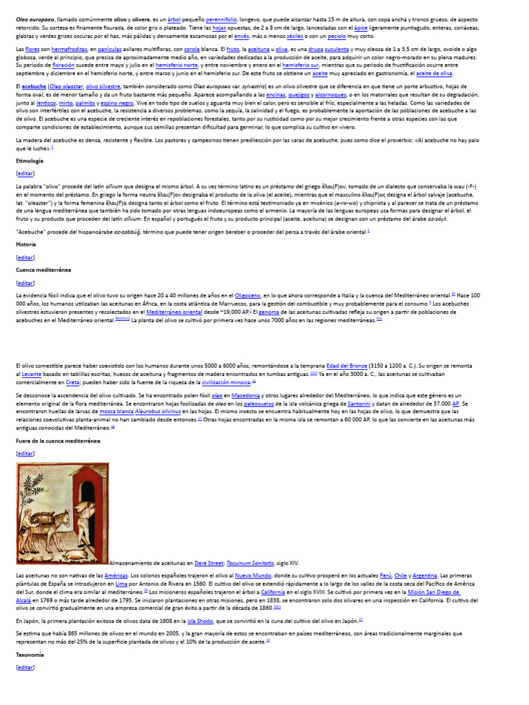 el olivo | PDF | Aceituna | Plantas